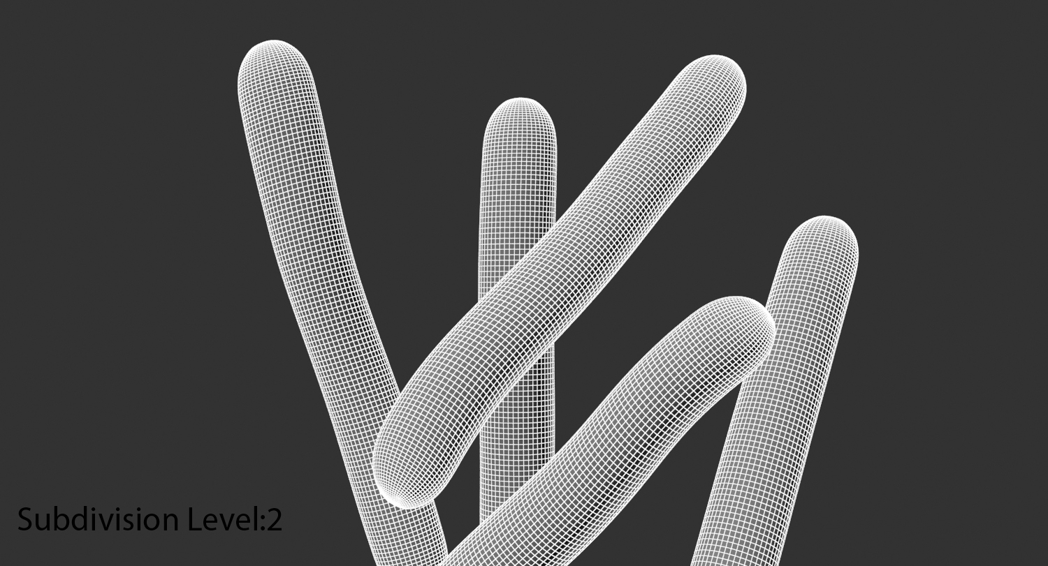 Mycobacterium tuberculosis bacteria 3D model - TurboSquid 1302149