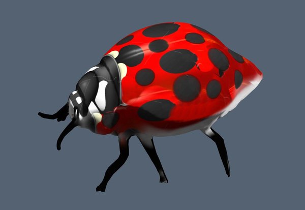 Ladybug 3D Models for Download | TurboSquid
