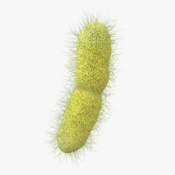 Bacteria 3D Models for Download | TurboSquid