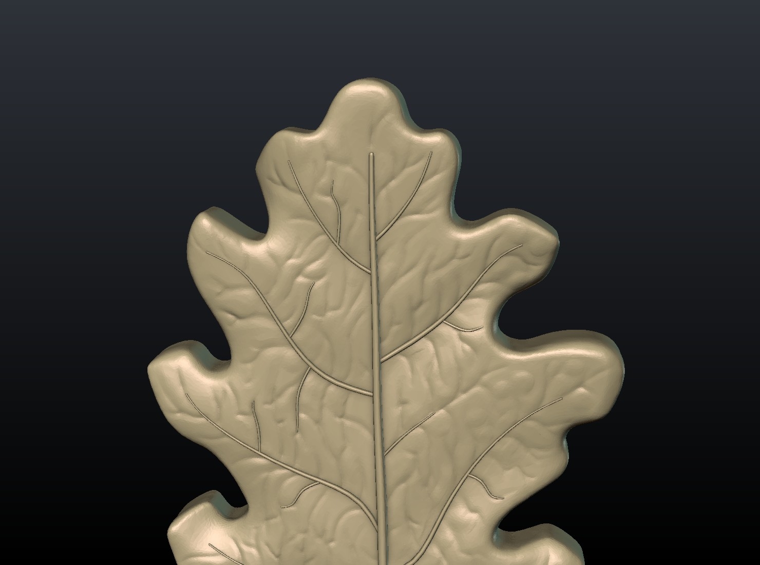Oak leaf 3D model - TurboSquid 1303042