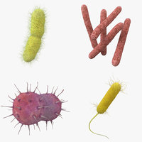 Bacteria 3D Models for Download | TurboSquid