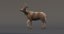 3D deer rigging animation fur hair model - TurboSquid 1304547
