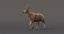 3D deer rigging animation fur hair model - TurboSquid 1304547