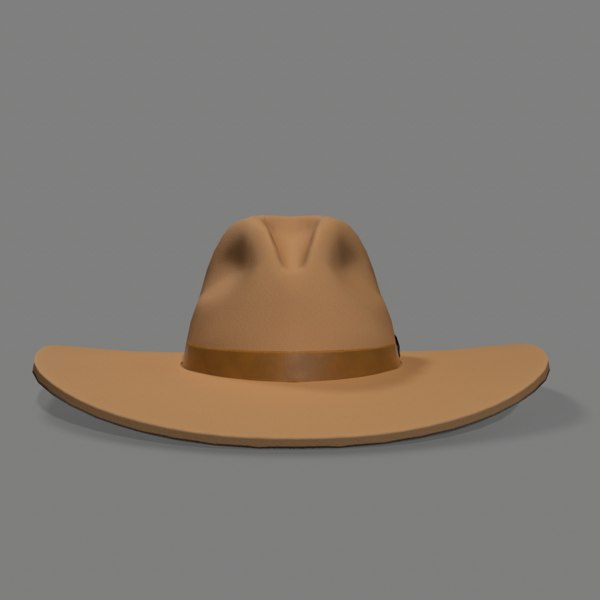 Low Poly Hat 3D Models for Download | TurboSquid