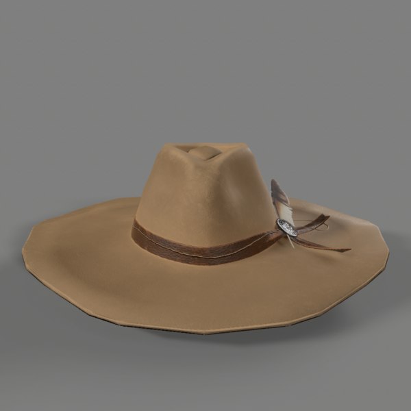 Low Poly Hat 3D Models for Download | TurboSquid