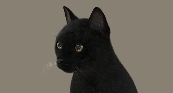 Cat rigged fur 2 3D - TurboSquid 1305309