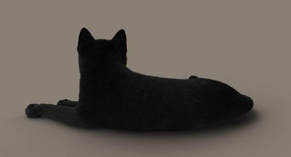 Cat rigged fur 2 3D - TurboSquid 1305309