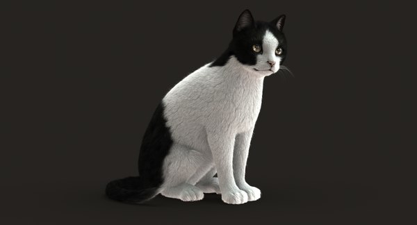 Cat rigged fur 2 3D model - TurboSquid 1305316