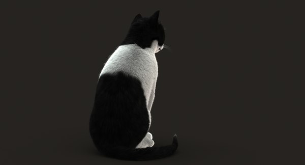 Cat rigged fur 2 3D model - TurboSquid 1305316