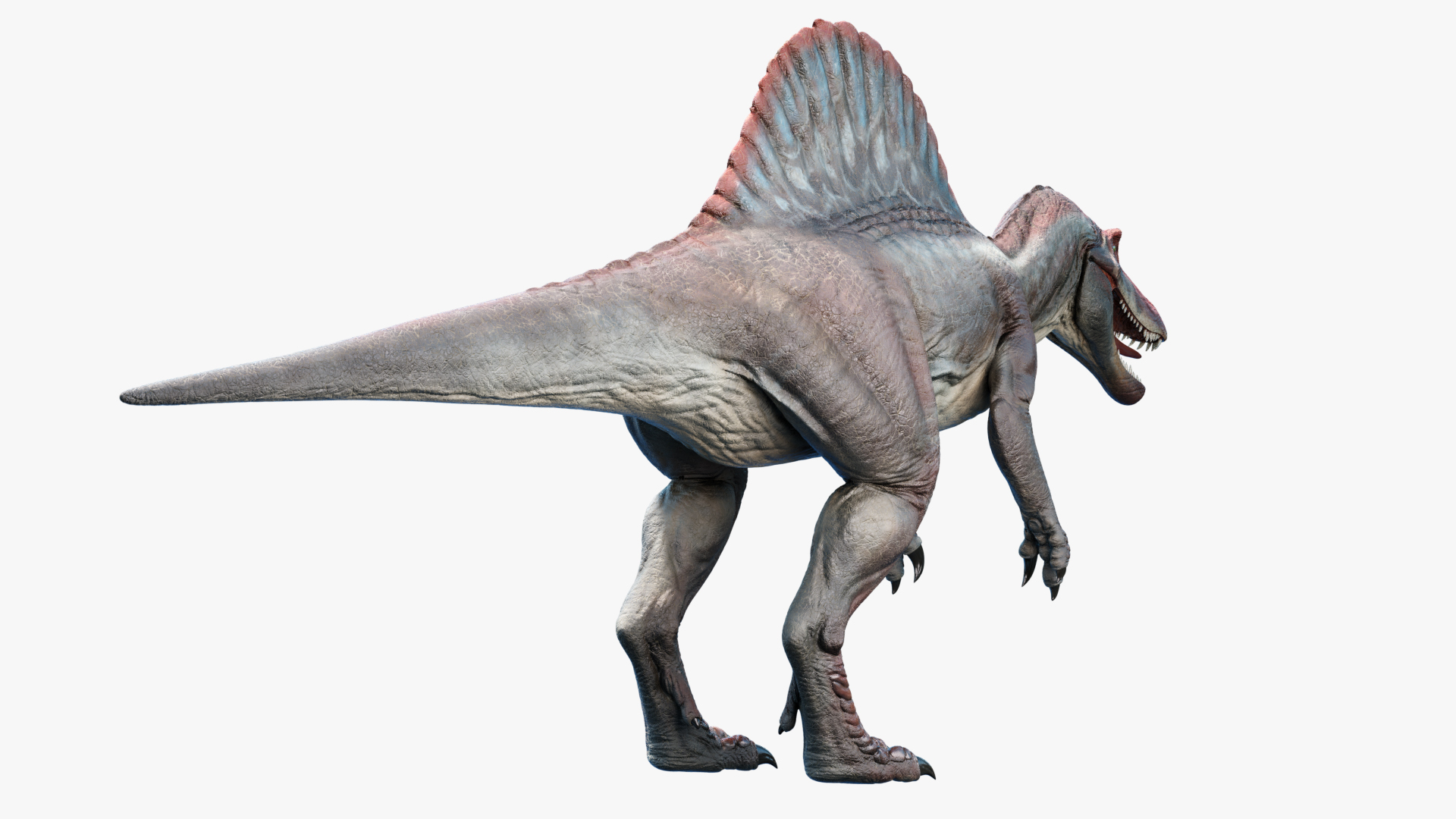 Spinosaurus rigged animation 3D model - TurboSquid 1305963
