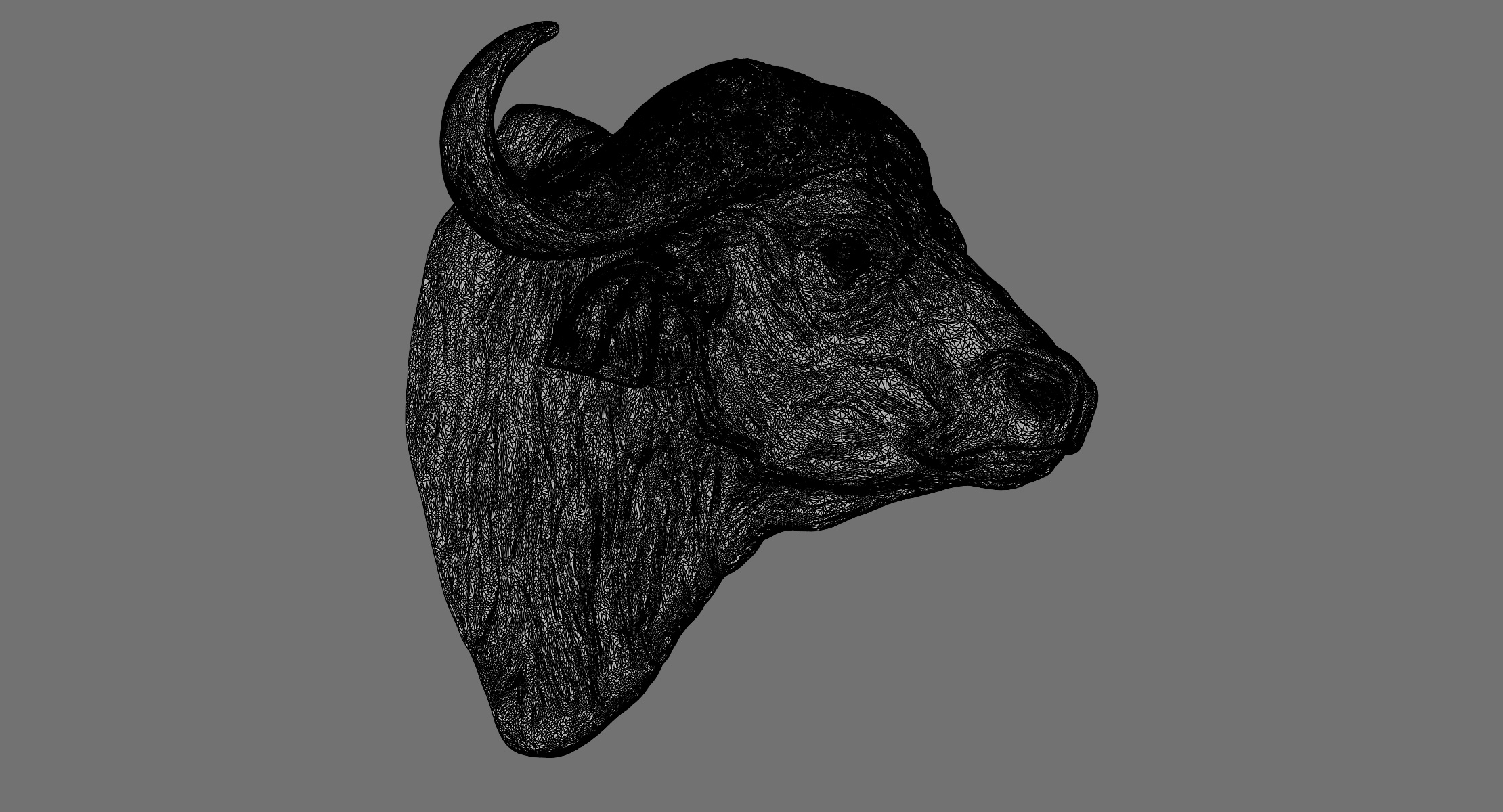 Cape buffalo animal head 3D model - TurboSquid 1306166