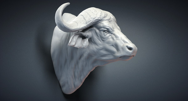 Cape buffalo animal head 3D model - TurboSquid 1306166