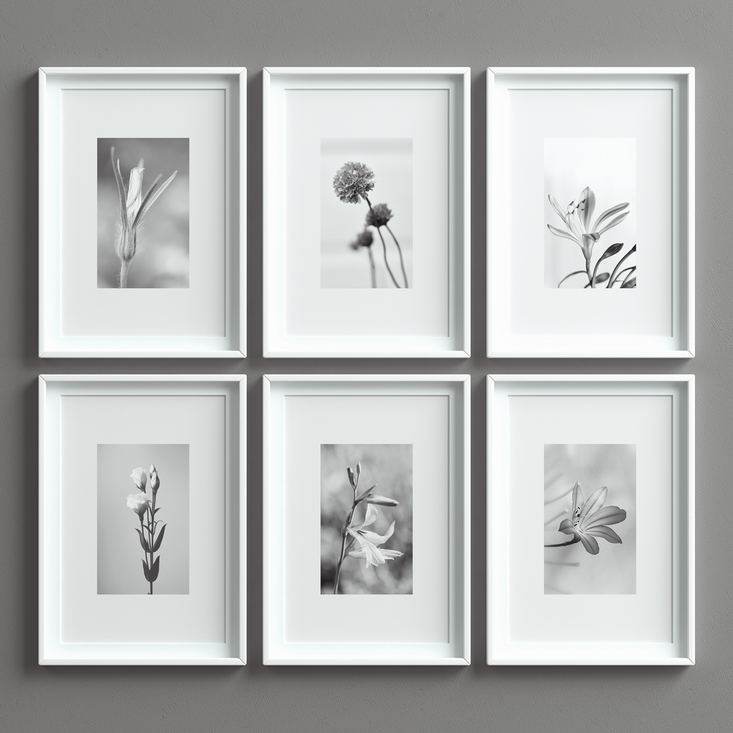 3D picture frames set - TurboSquid 1306485