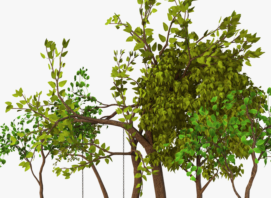Swing tree 3D model - TurboSquid 1306506