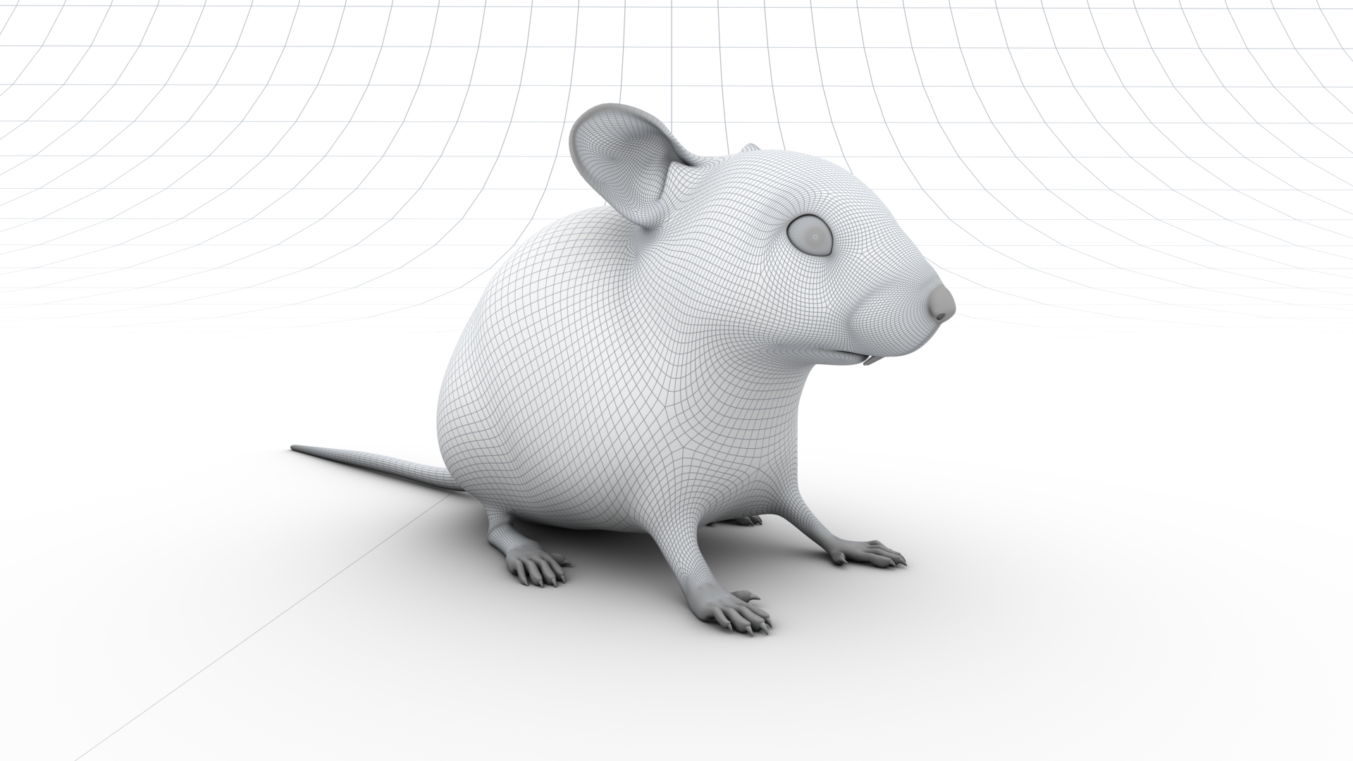 Realistic white mouse - 3D model - TurboSquid 1307286