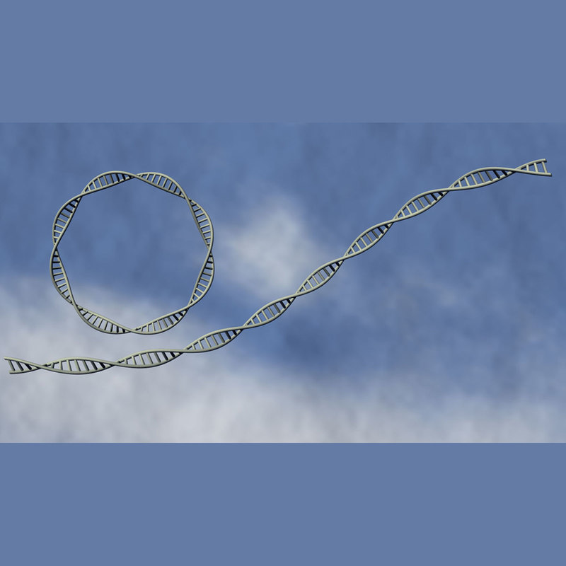 3D twisted ladder - TurboSquid 1307706