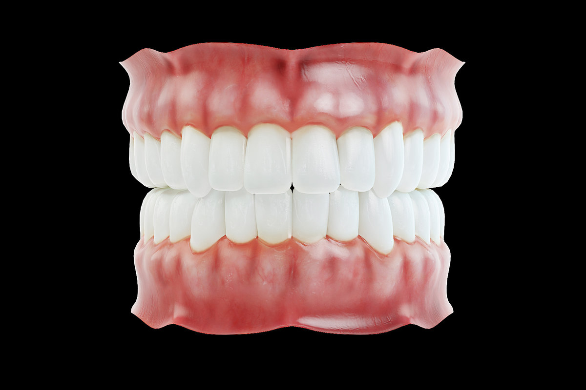 3D human dentures - TurboSquid 1307959