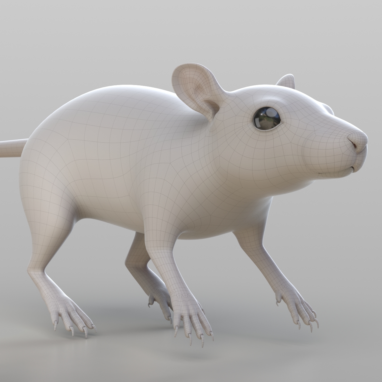 Realistic rat model - TurboSquid 1308420