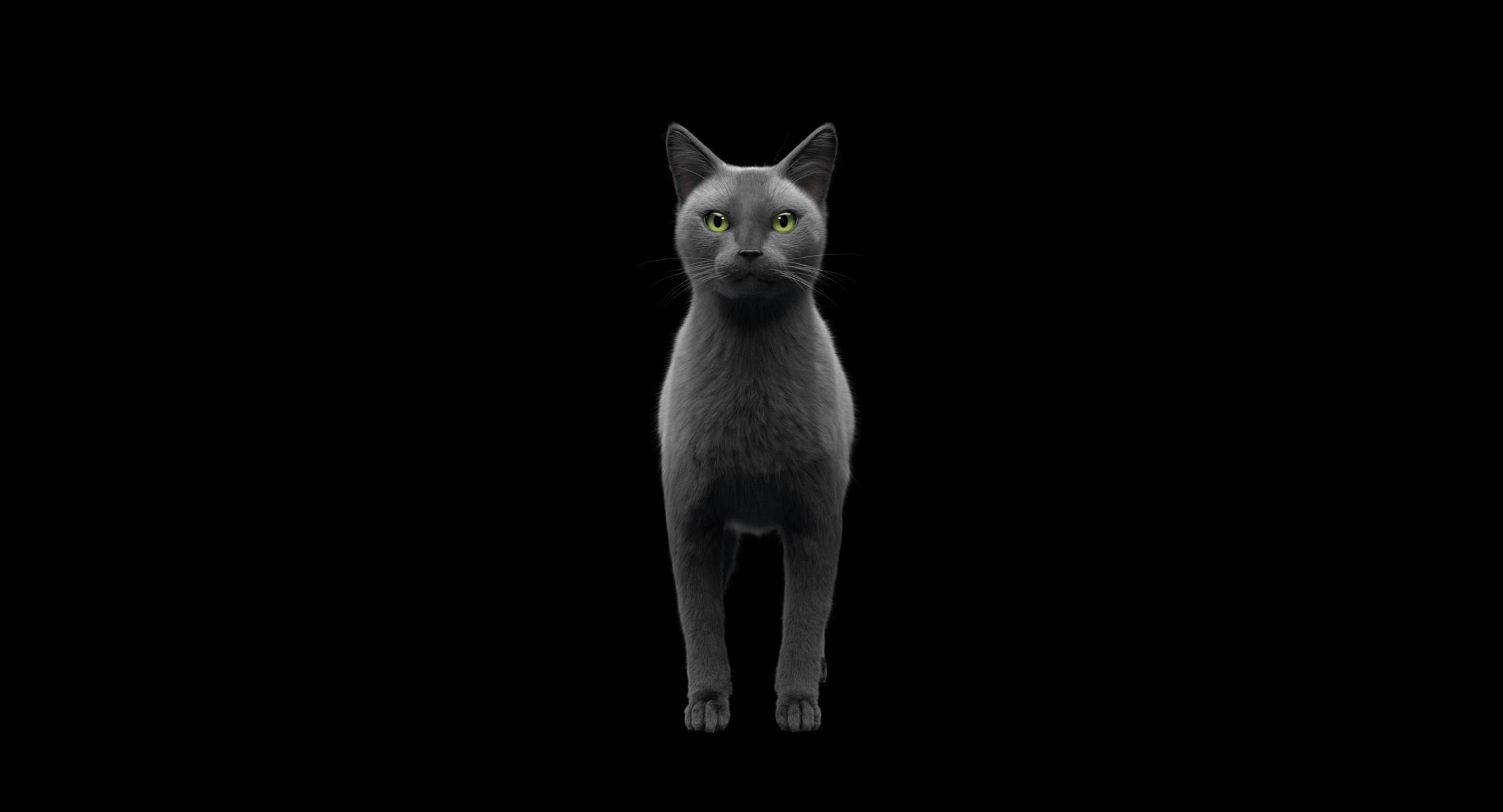 Grey cat hair 3D model - TurboSquid 1309070
