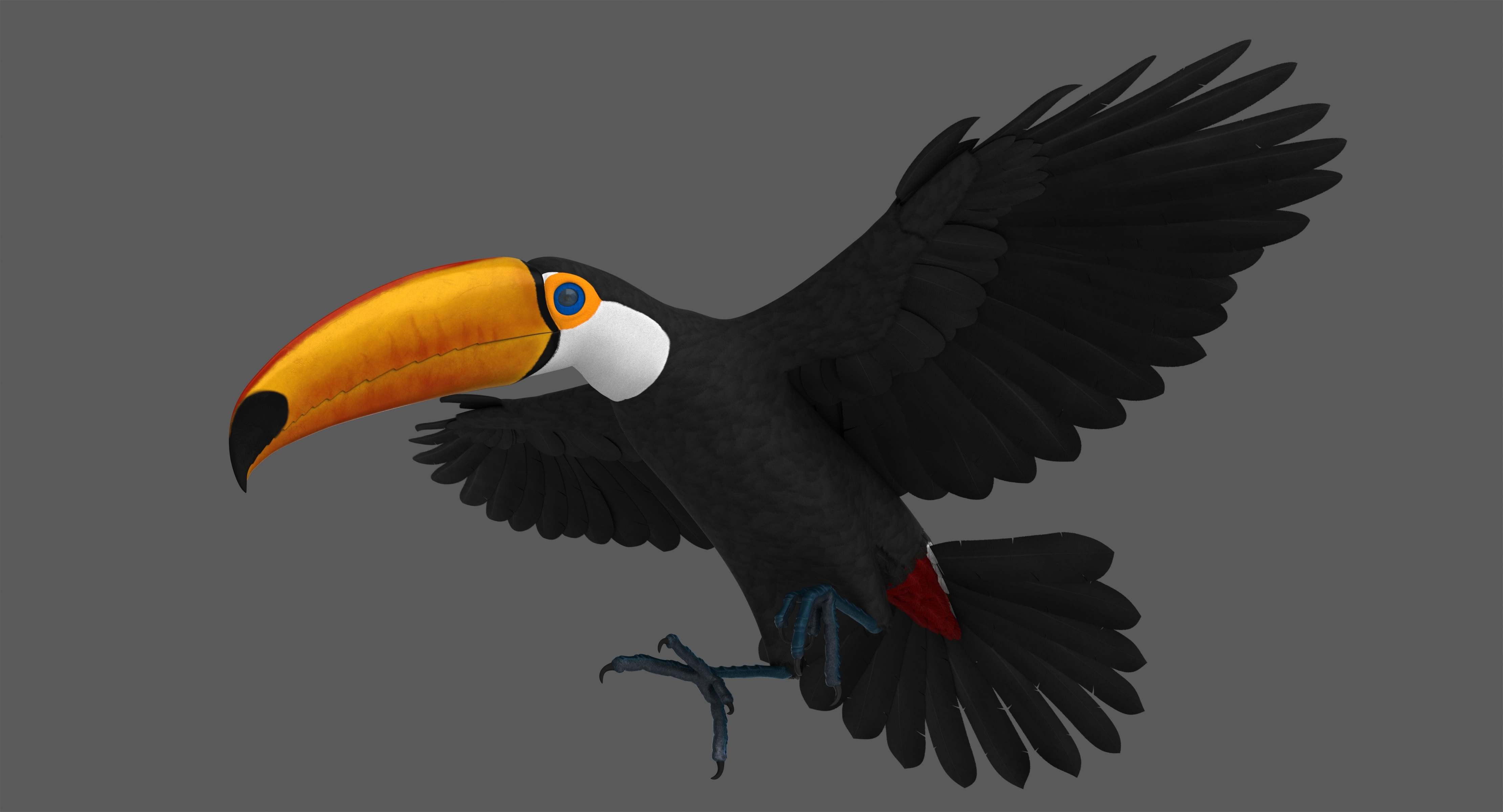 3D toco toucan animation - TurboSquid 1309168