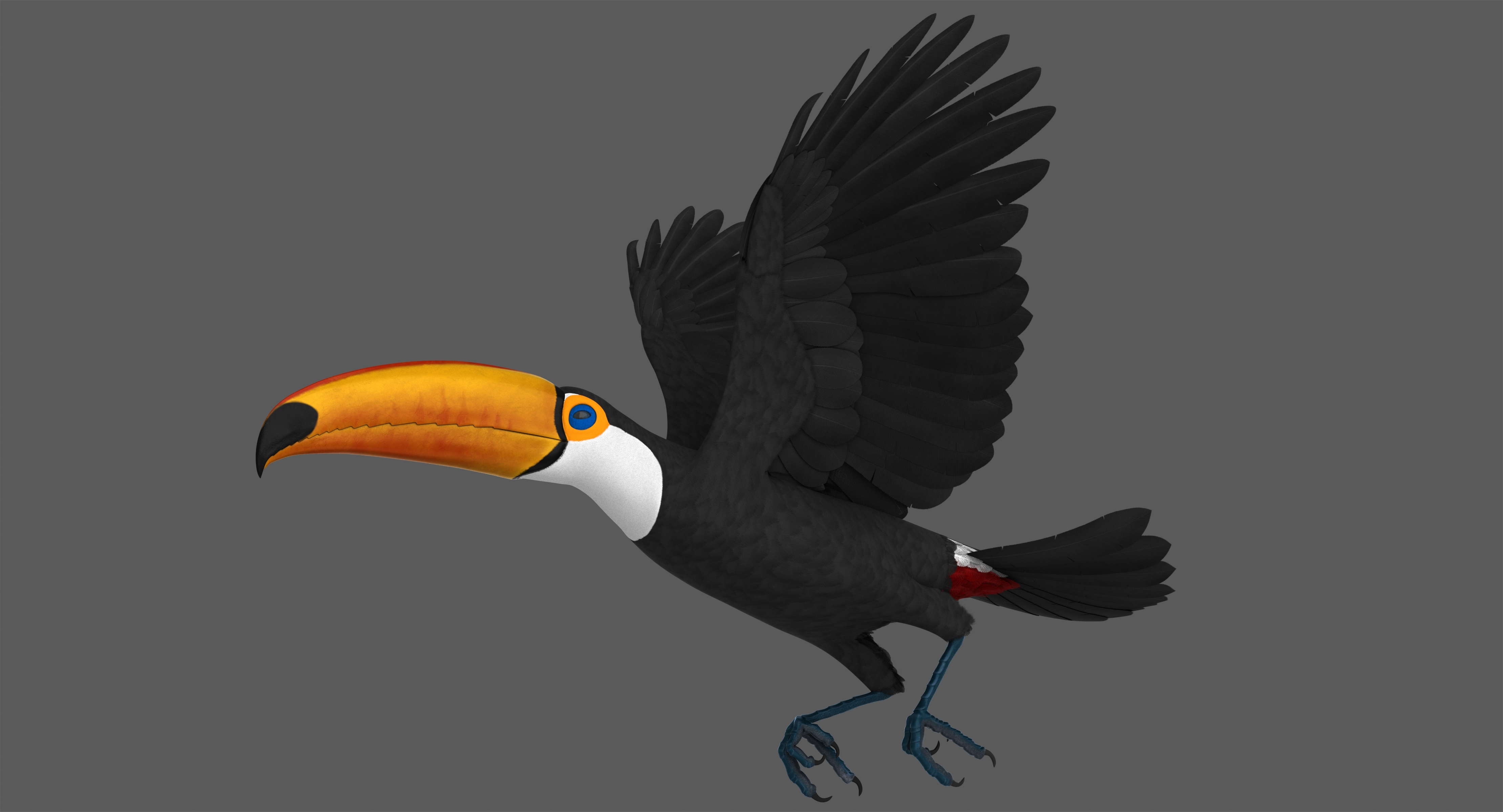 3D toco toucan animation - TurboSquid 1309168