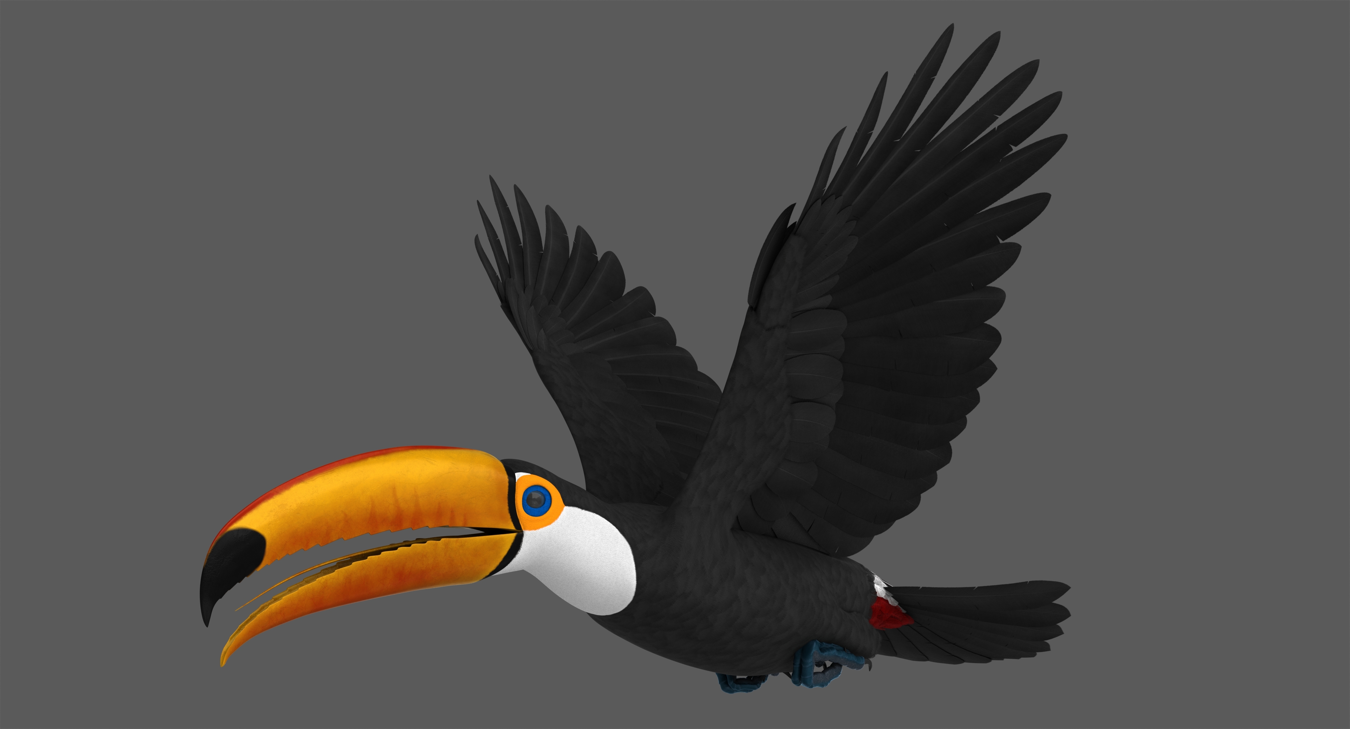 3D toco toucan animation - TurboSquid 1309168