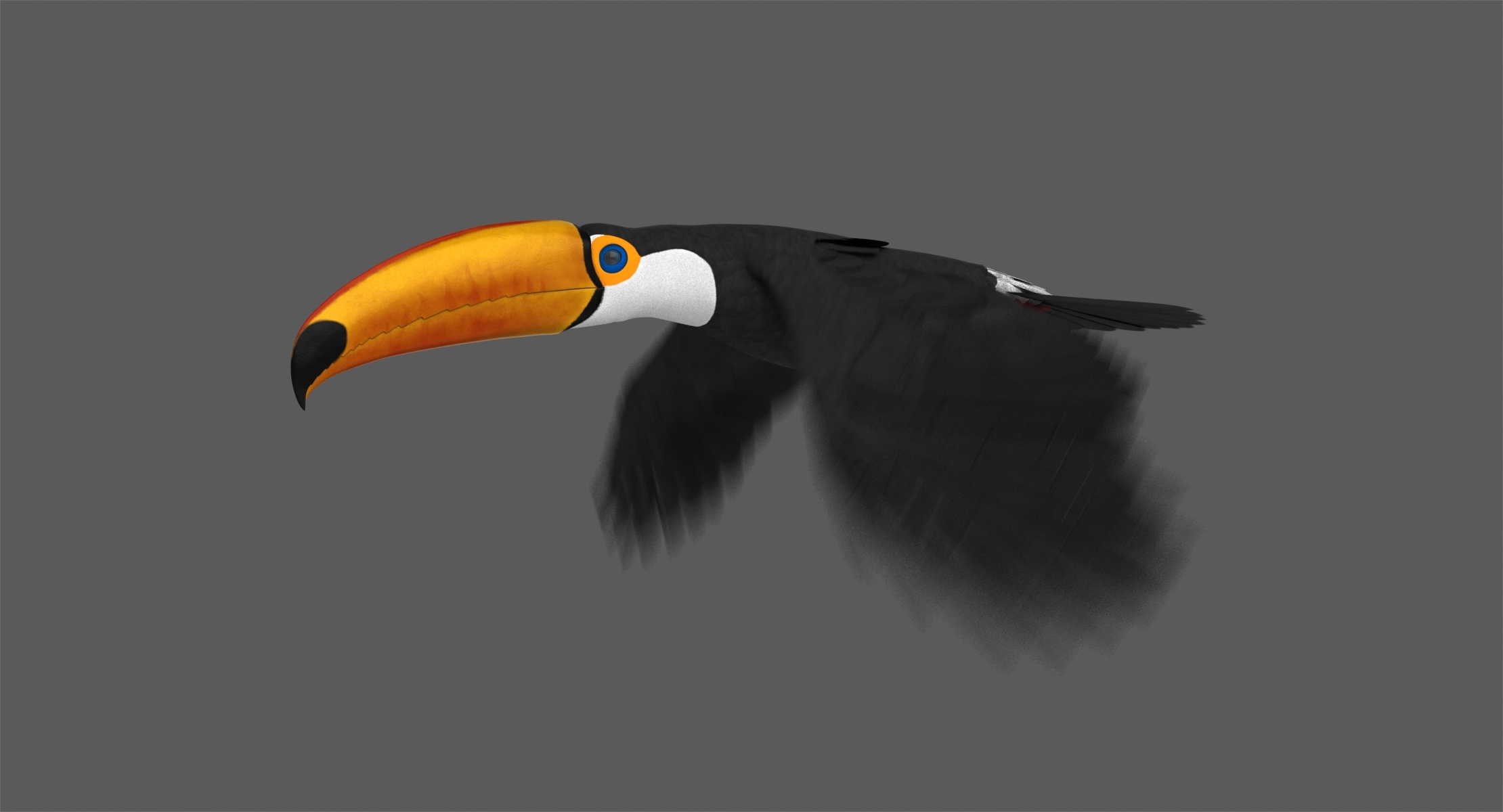 3D toco toucan animation - TurboSquid 1309168
