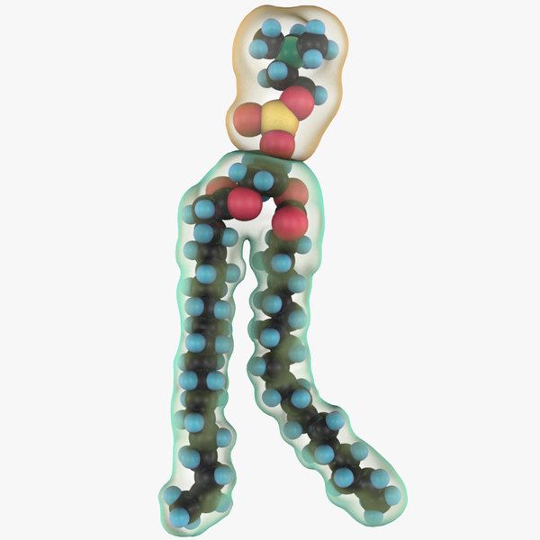 3D phospholipid lipids - TurboSquid 1309559