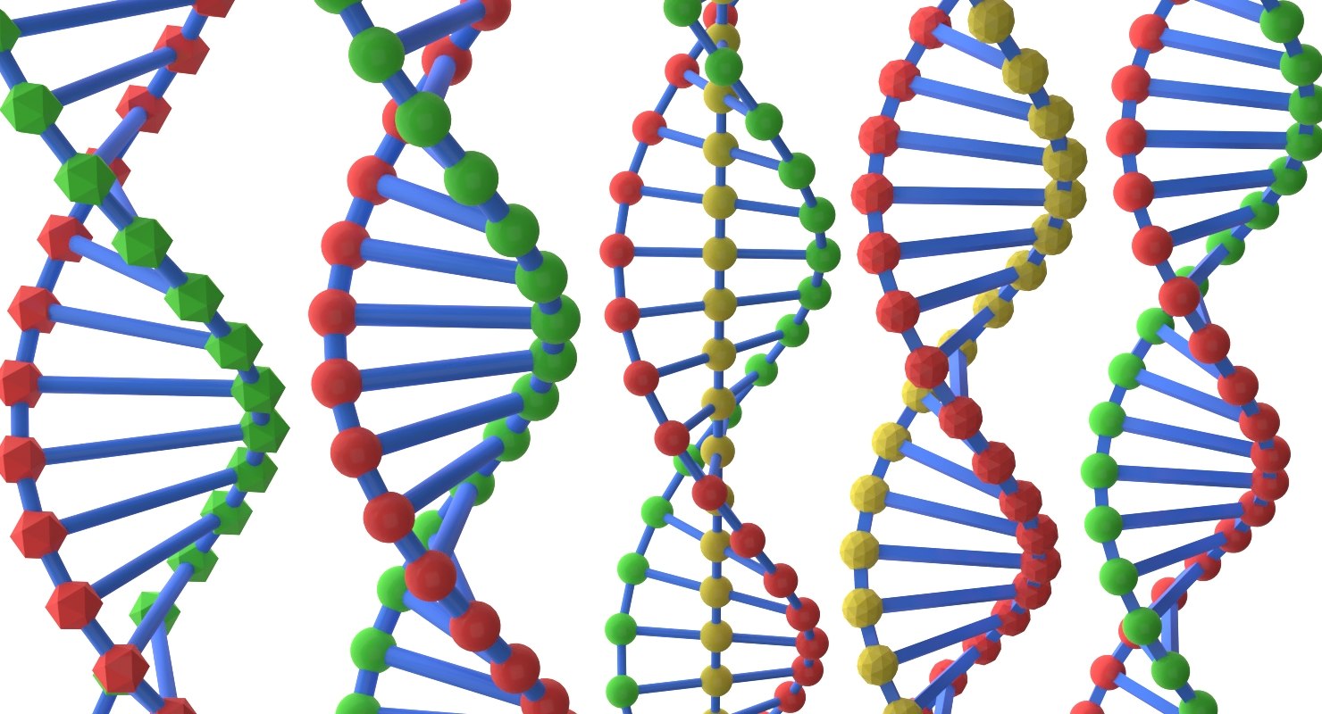 Dna 5 3D model - TurboSquid 1309635