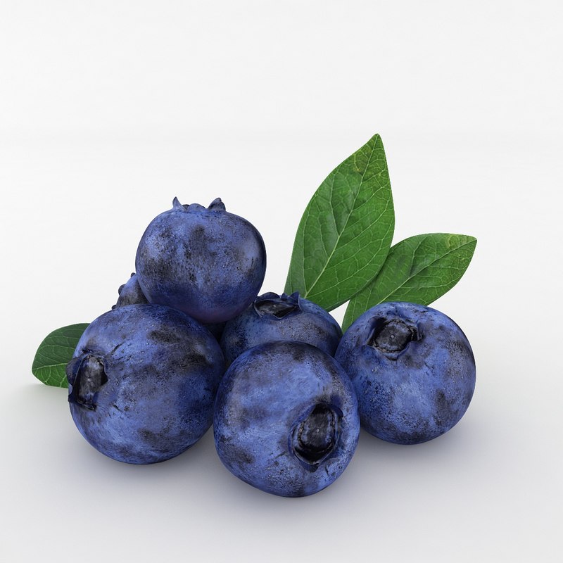 3D blueberry - TurboSquid 1310426