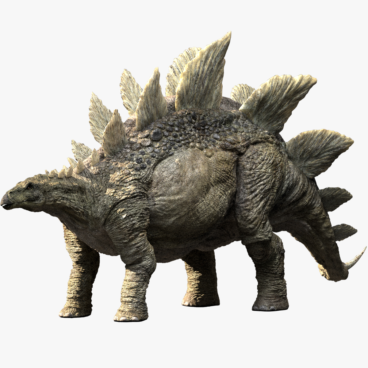 Stegosaurus rigged stego 3D model - TurboSquid 1310852