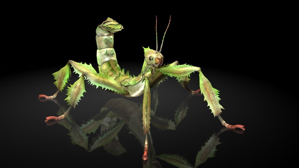 3D insects - TurboSquid 1311273