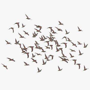 Bird Flying 3D Models for Download | TurboSquid