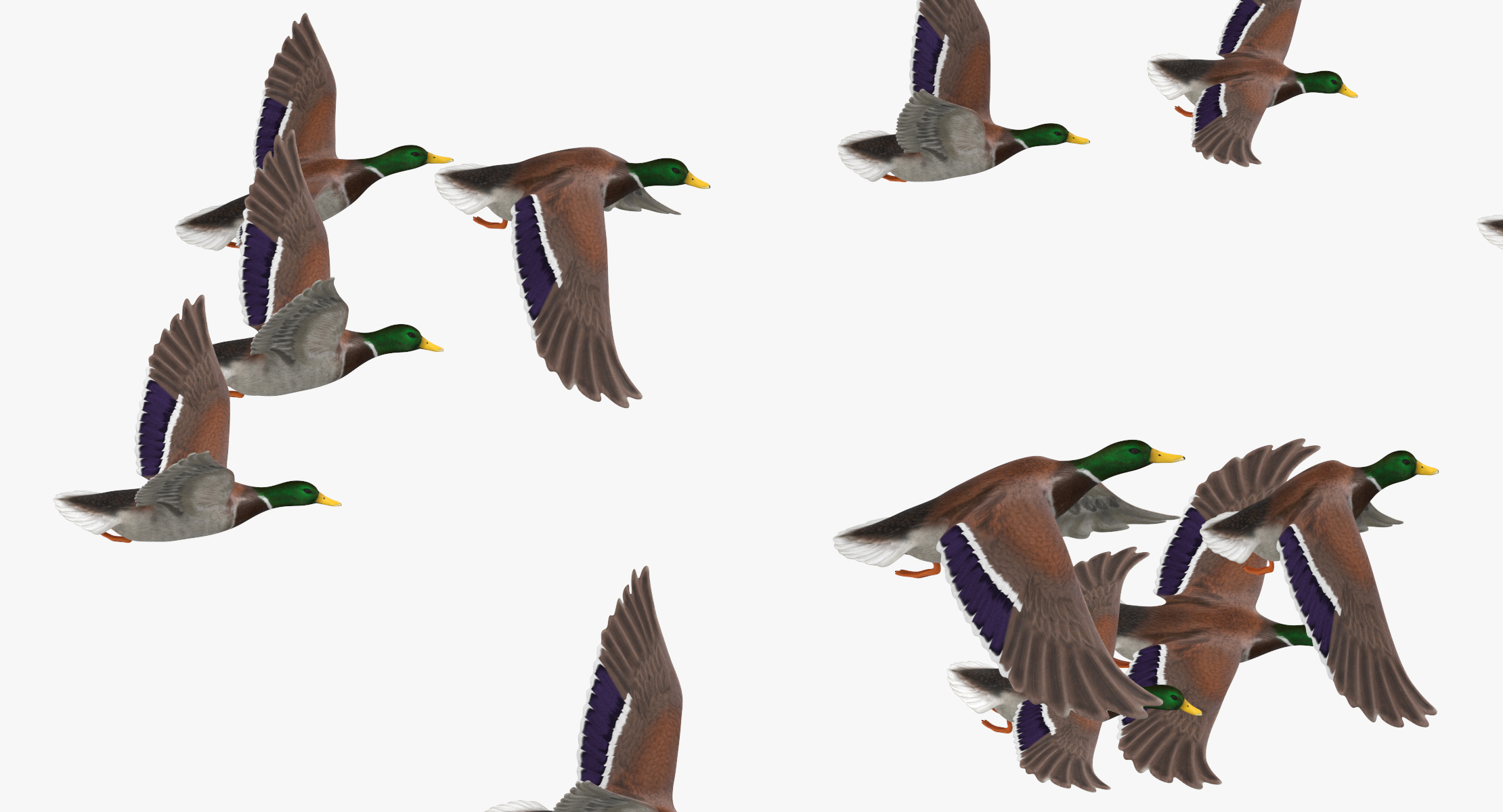 Large flock ducks flying 3D model - TurboSquid 1311978
