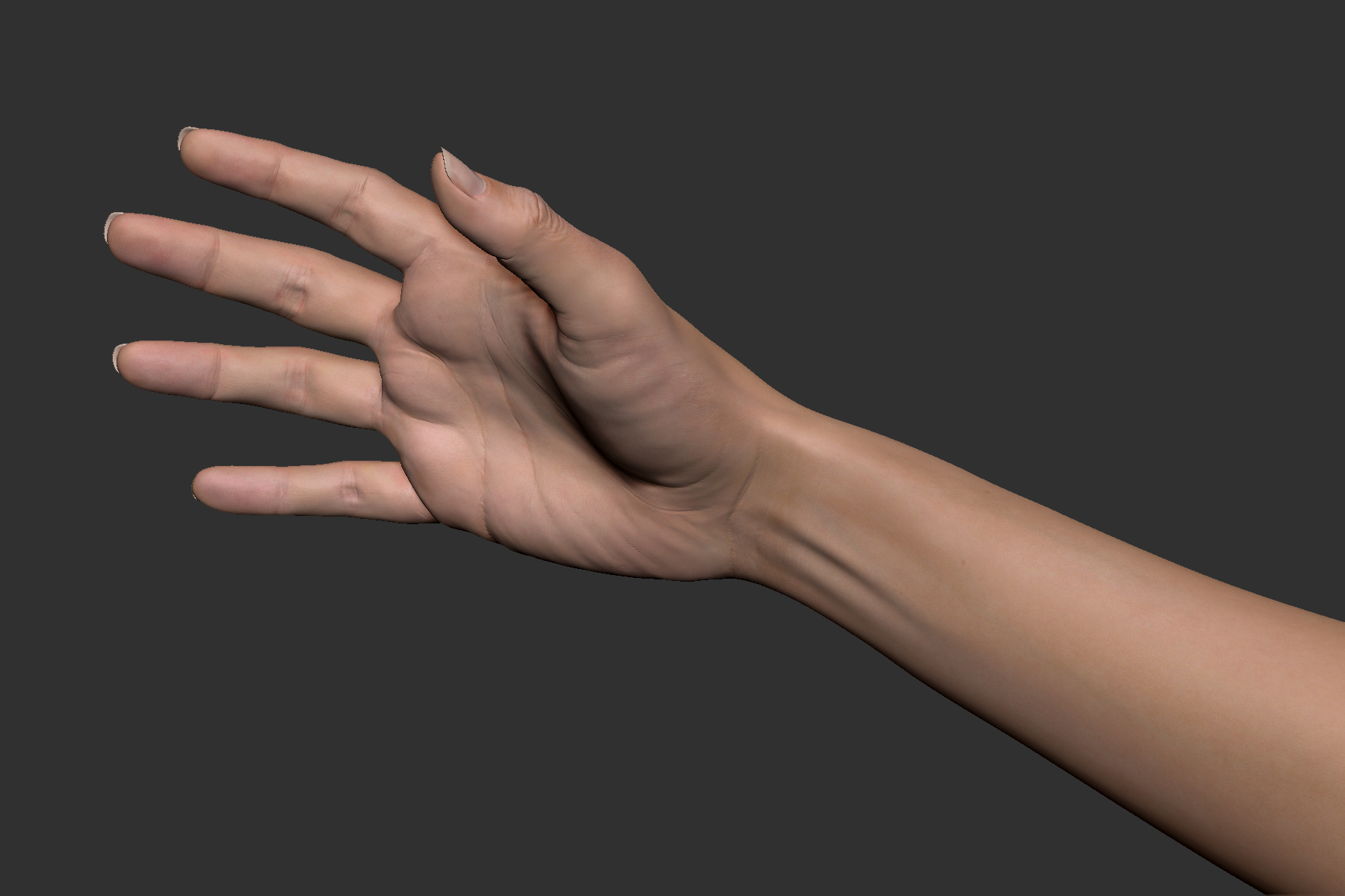 Realistic female arm hand 3D model - TurboSquid 1312491