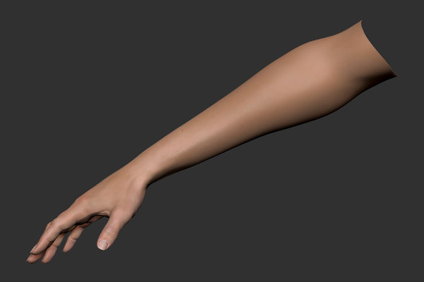 Realistic female arm hand 3D model - TurboSquid 1312491