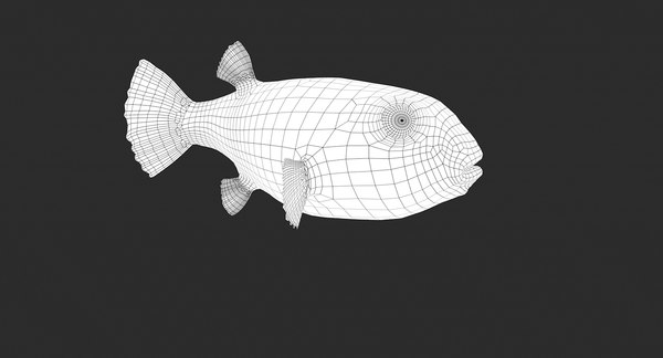 Puffer fish 3D model - TurboSquid 1312577