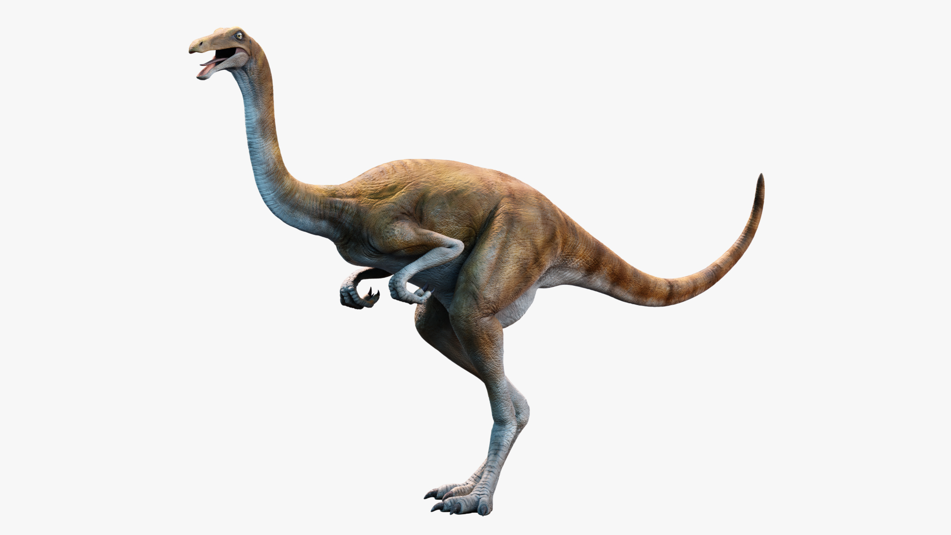 Dinosaur gallimimus ornithomimus 3D model - TurboSquid 1314048