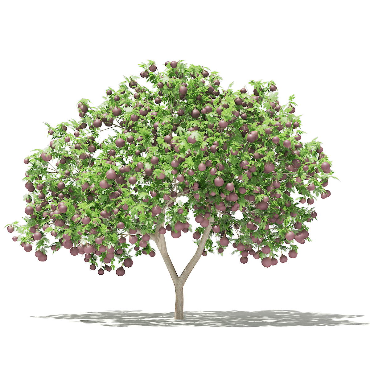 Fruit trees volume 105 3D model - TurboSquid 1314093