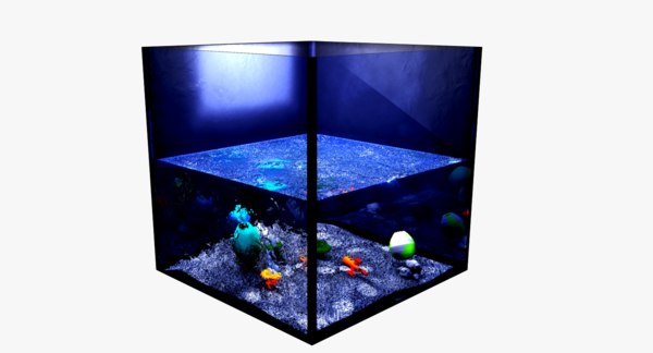 3D Aquarium Models | TurboSquid