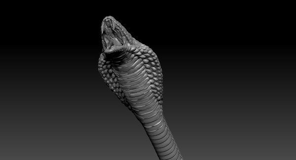 Snake rig 3D - TurboSquid 1314669