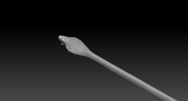 Snake rig 3D - TurboSquid 1314669