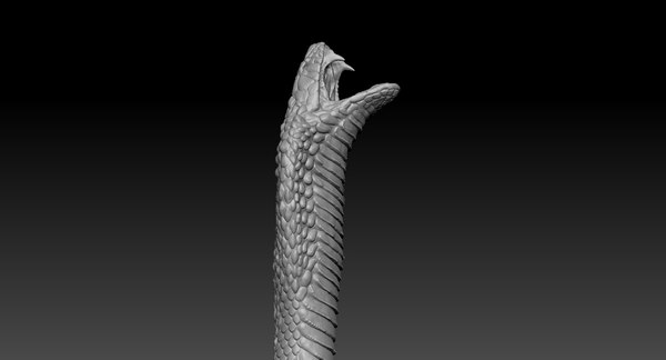 Snake rig 3D - TurboSquid 1314669