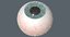 Eye realistic modeled eyeball 3D - TurboSquid 1314755
