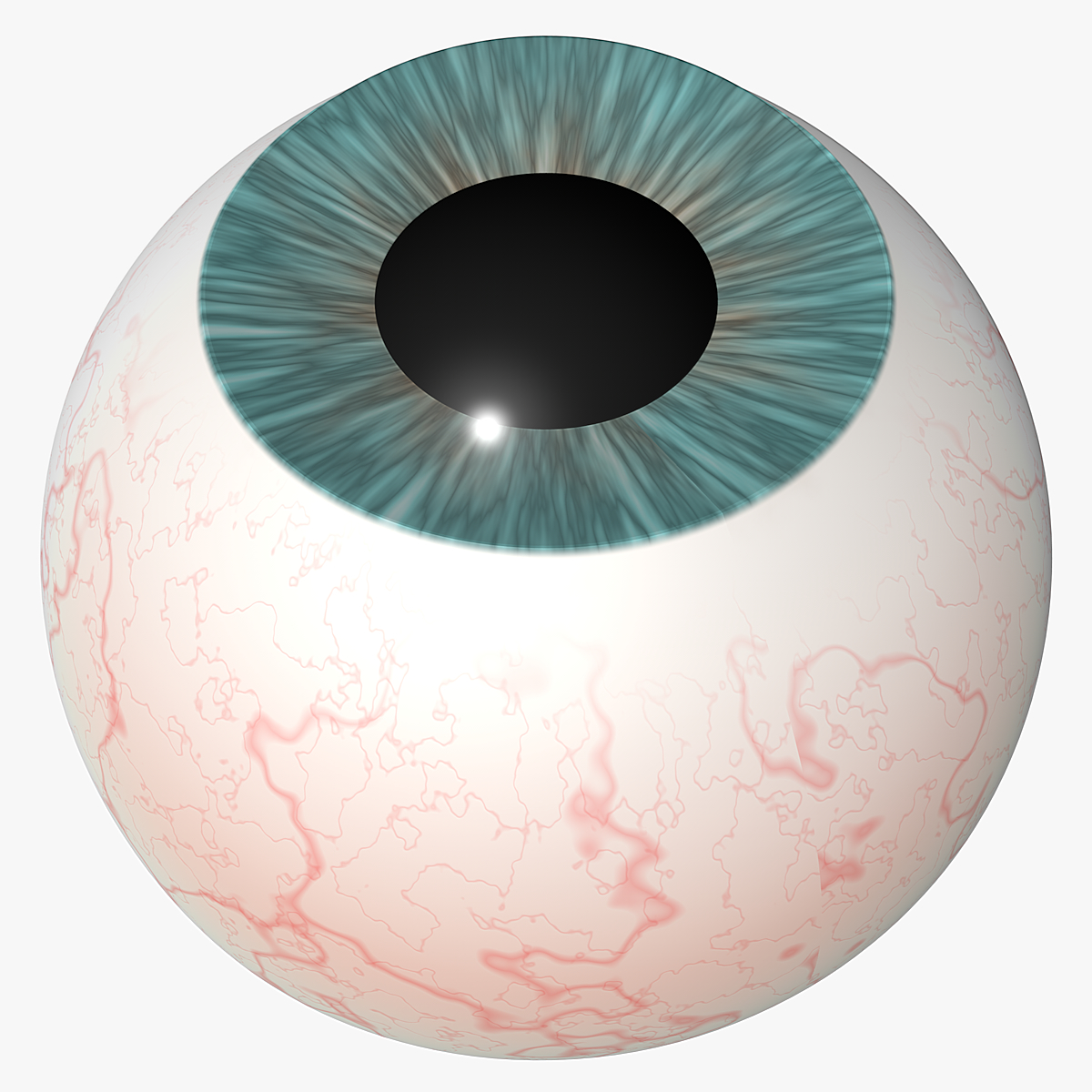 Eye realistic modeled eyeball 3D - TurboSquid 1314755