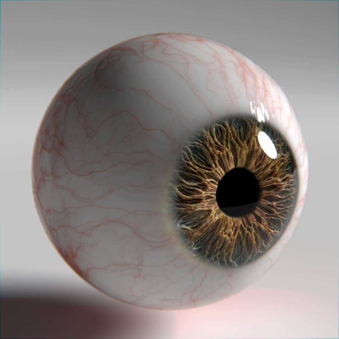 3D photorealistic human eyes model - TurboSquid 1314774