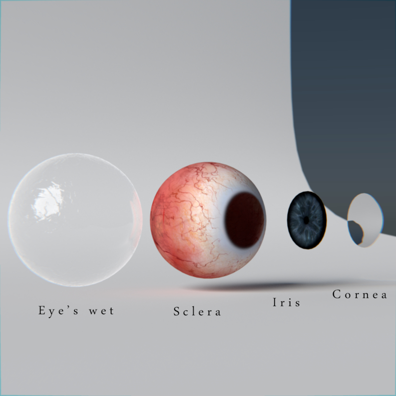 3D photorealistic human eyes model - TurboSquid 1314774
