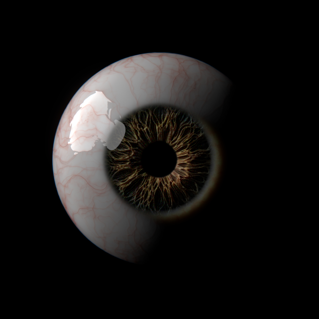 3D photorealistic human eyes model - TurboSquid 1314774