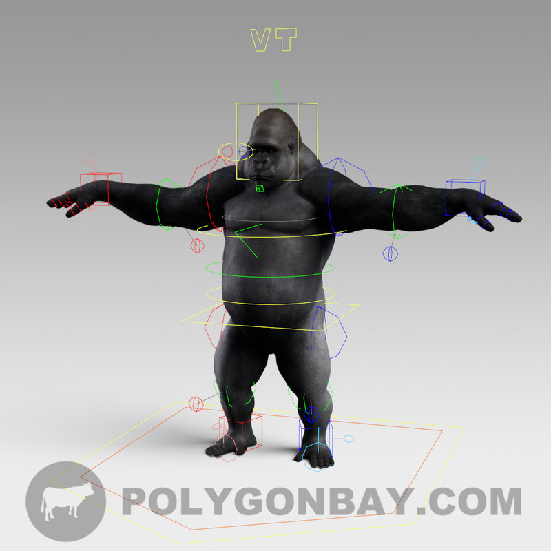 Realistic silverback gorilla 3D model - TurboSquid 1315610