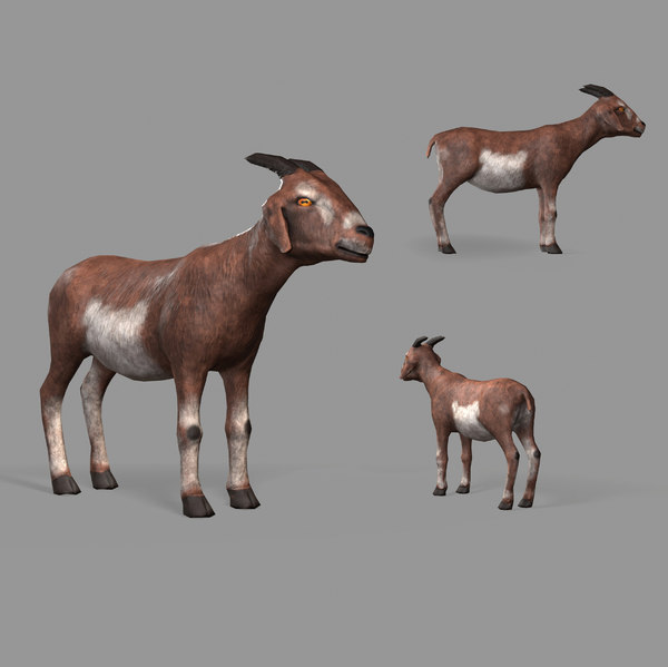Goat 3D Models for Download | TurboSquid